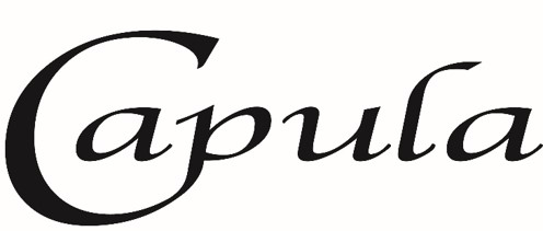 Capula - Current Openings