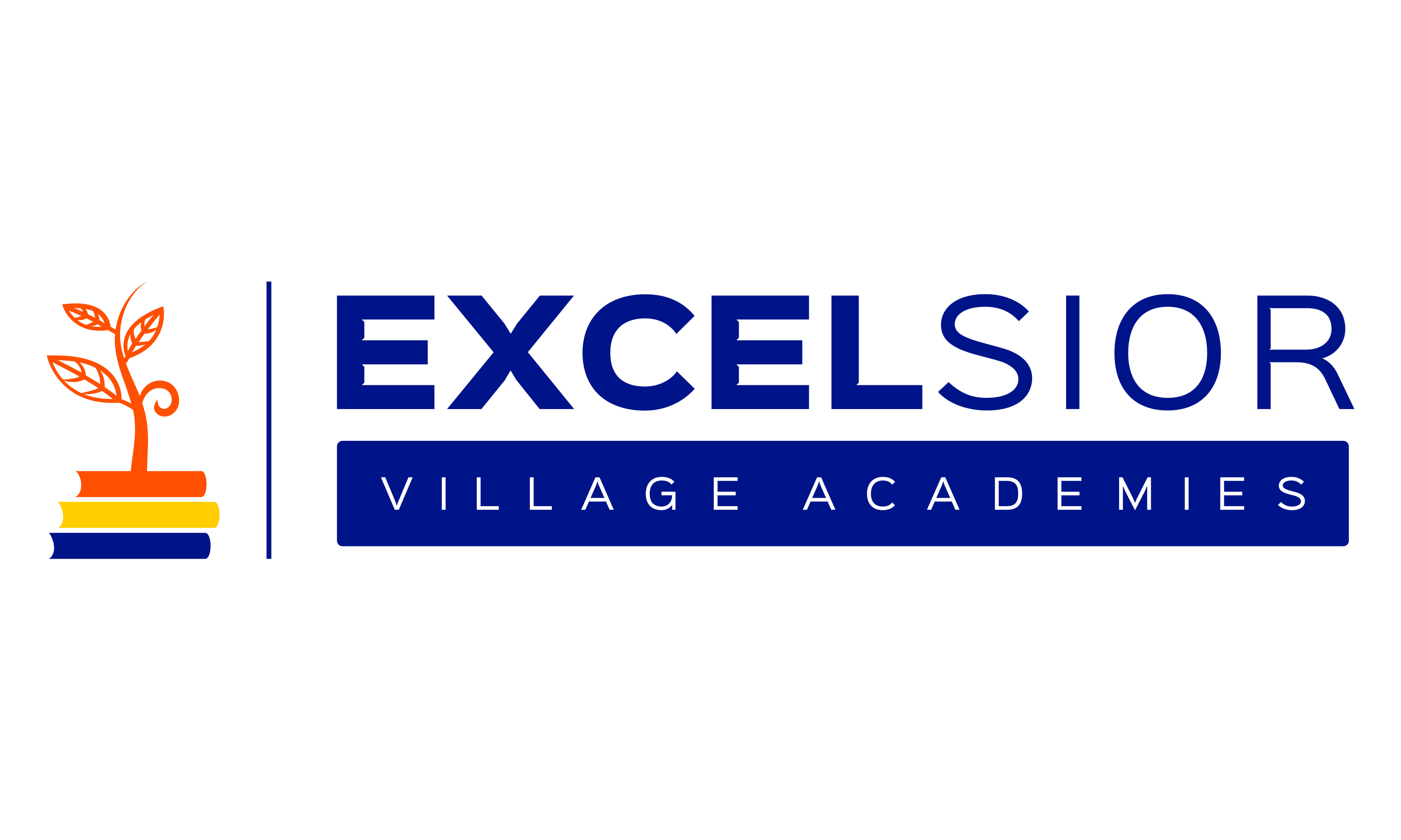 Excelsior Village Academies, Inc. - Current Openings