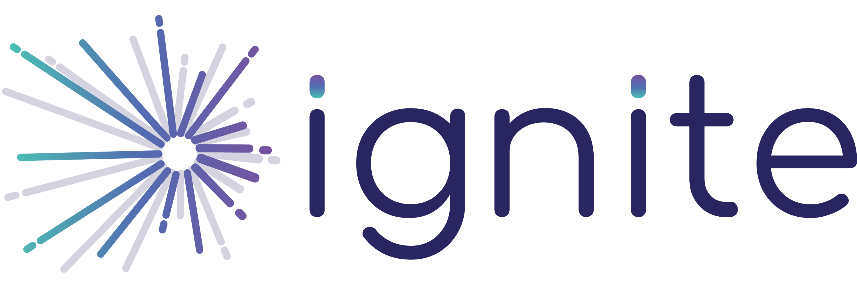 Ignite IT - Current Openings