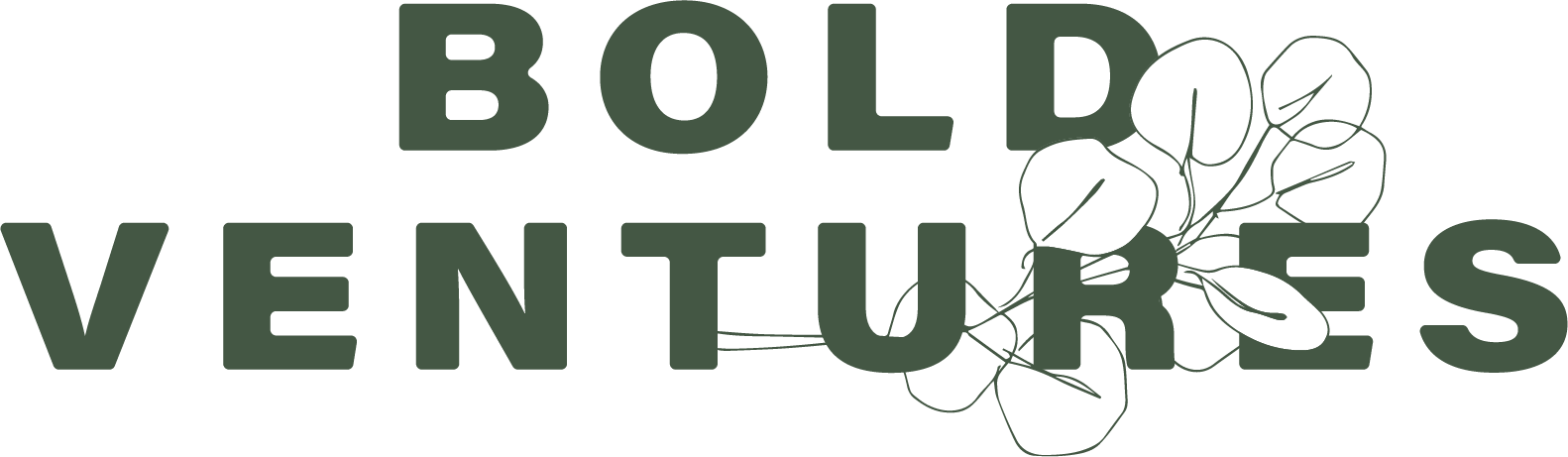 Bold Ventures - Current Openings
